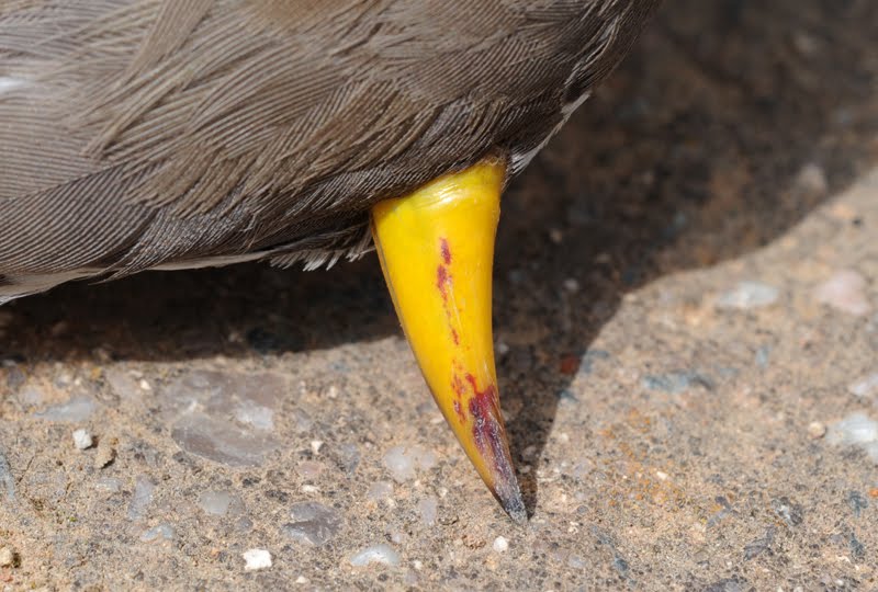 Stuart Rae: October 2010