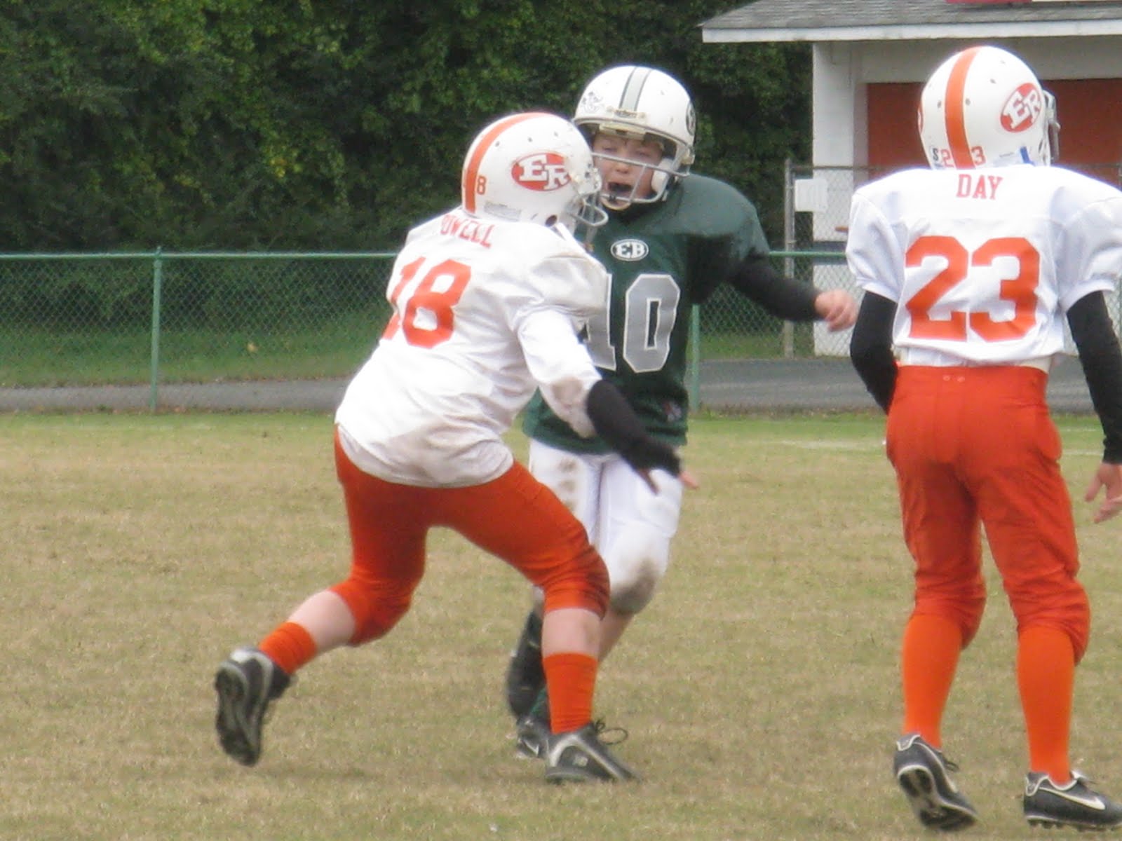 The Fabulous Fishbowl: November 2009