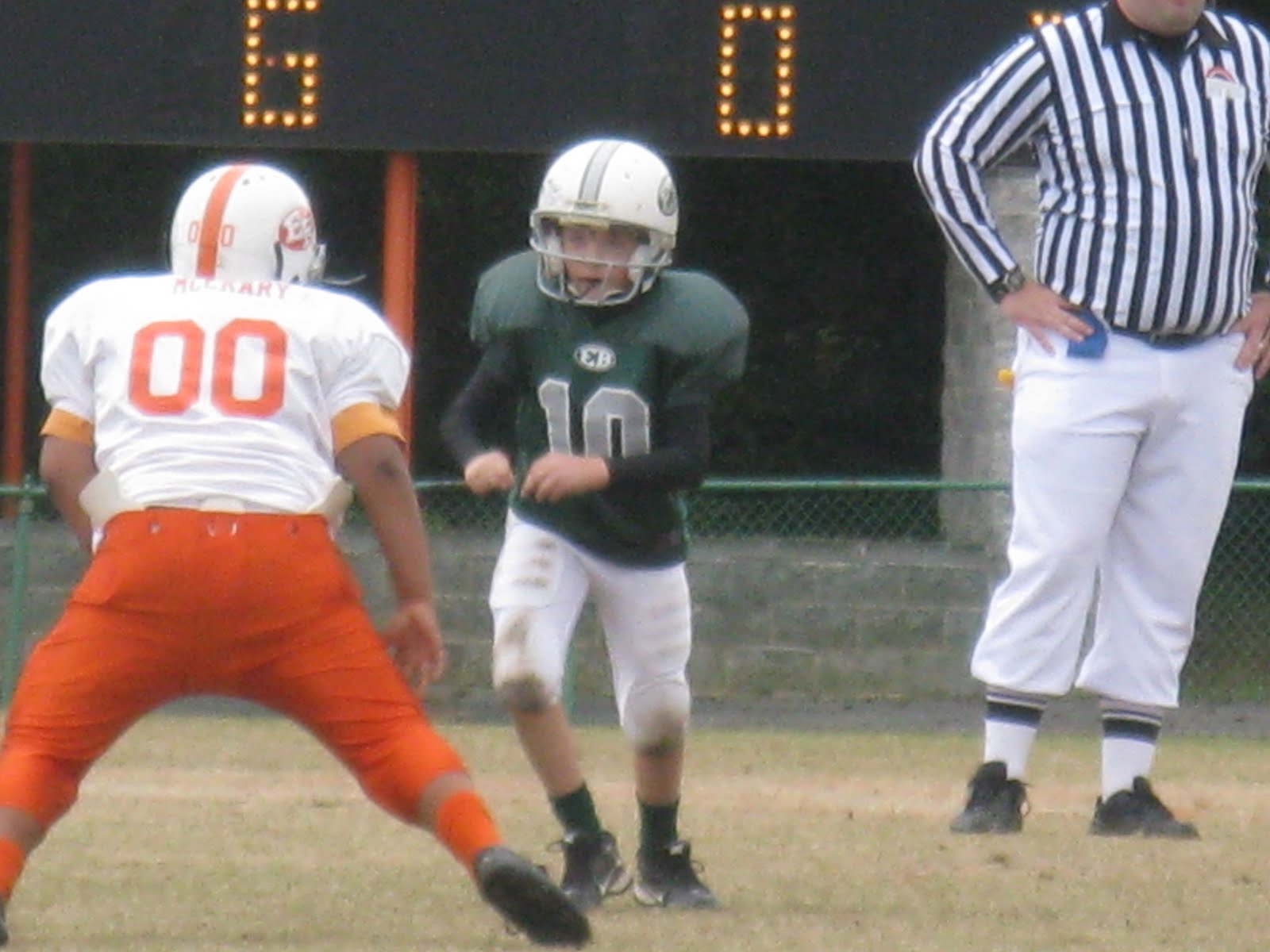 The Fabulous Fishbowl: November 2009