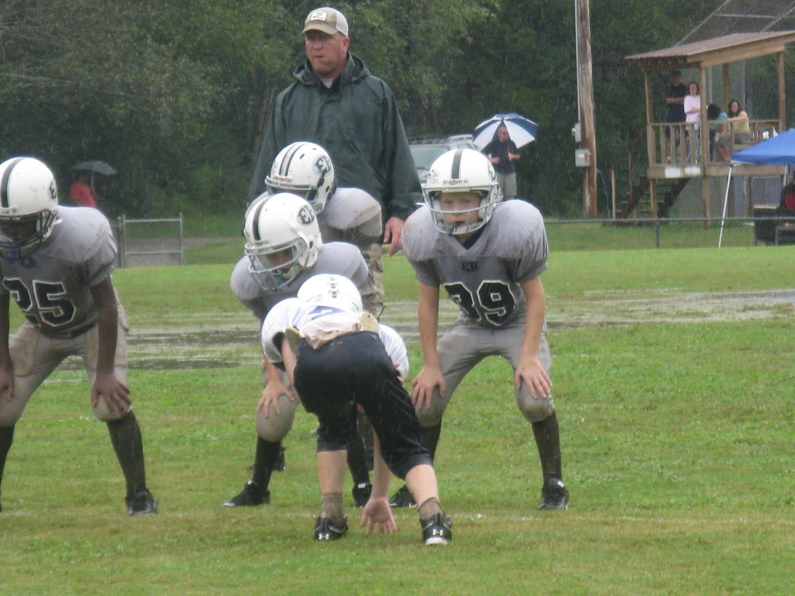 The Fabulous Fishbowl: November 2009