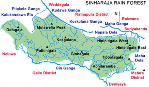 Heritages of Sri Lanka: How to reach Sinharaja natural rain forest