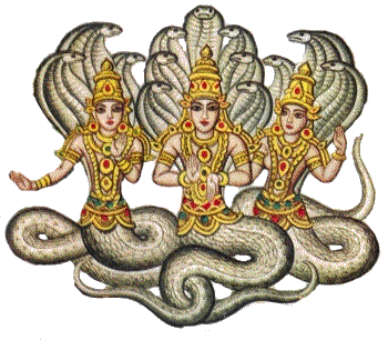 Mythological Stories of India: Story 14 - The curse on snakes