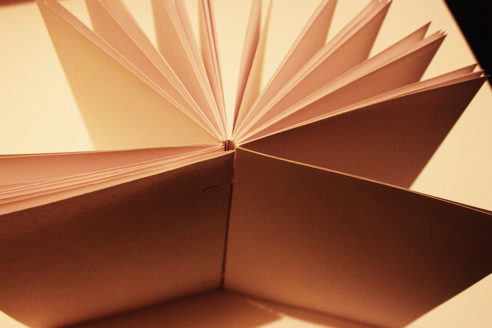 Snevins Interior Design.: Book-binding Workshop.