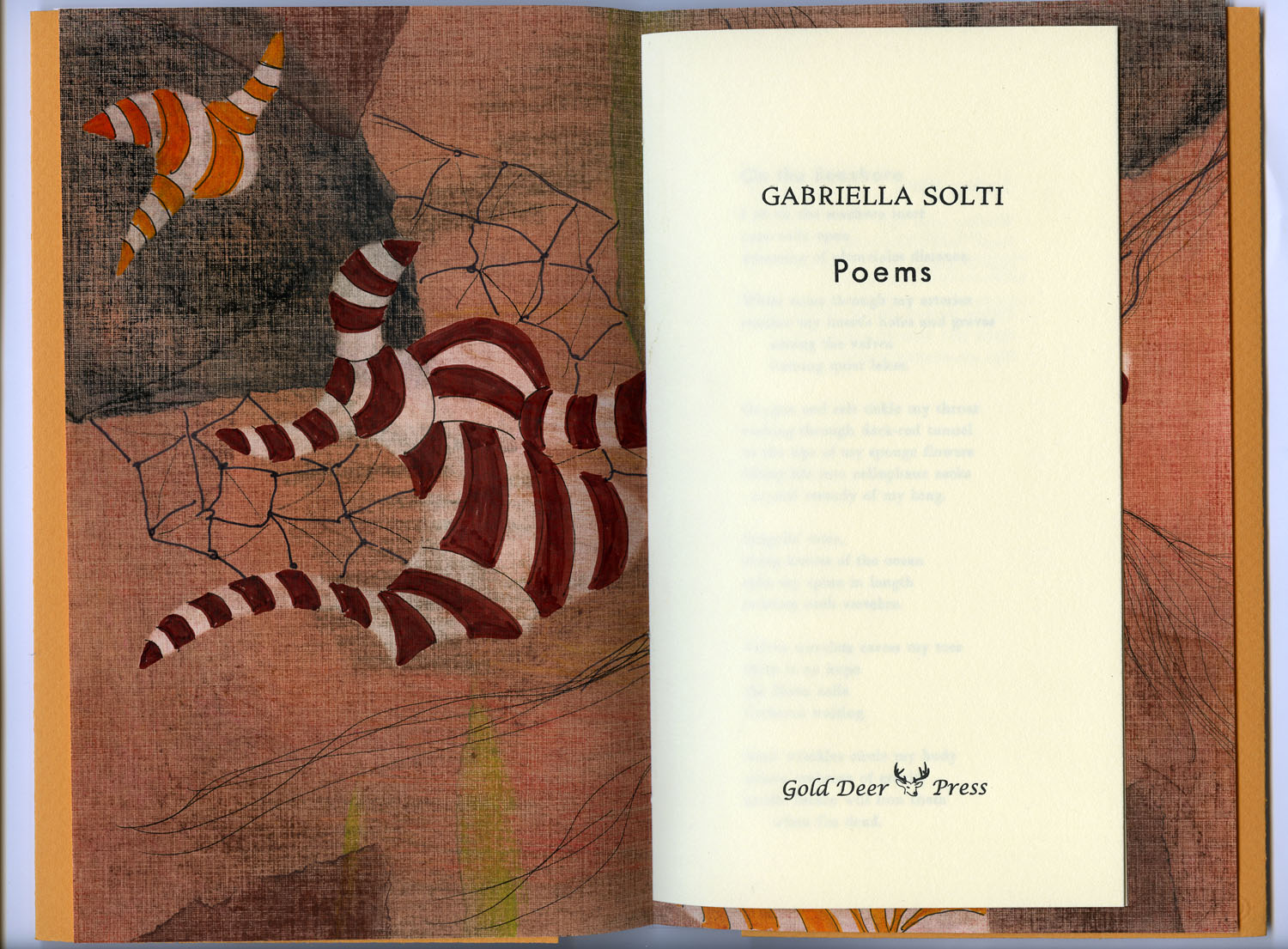 Gabriella Solti - Artist Books: Poems - About the Book