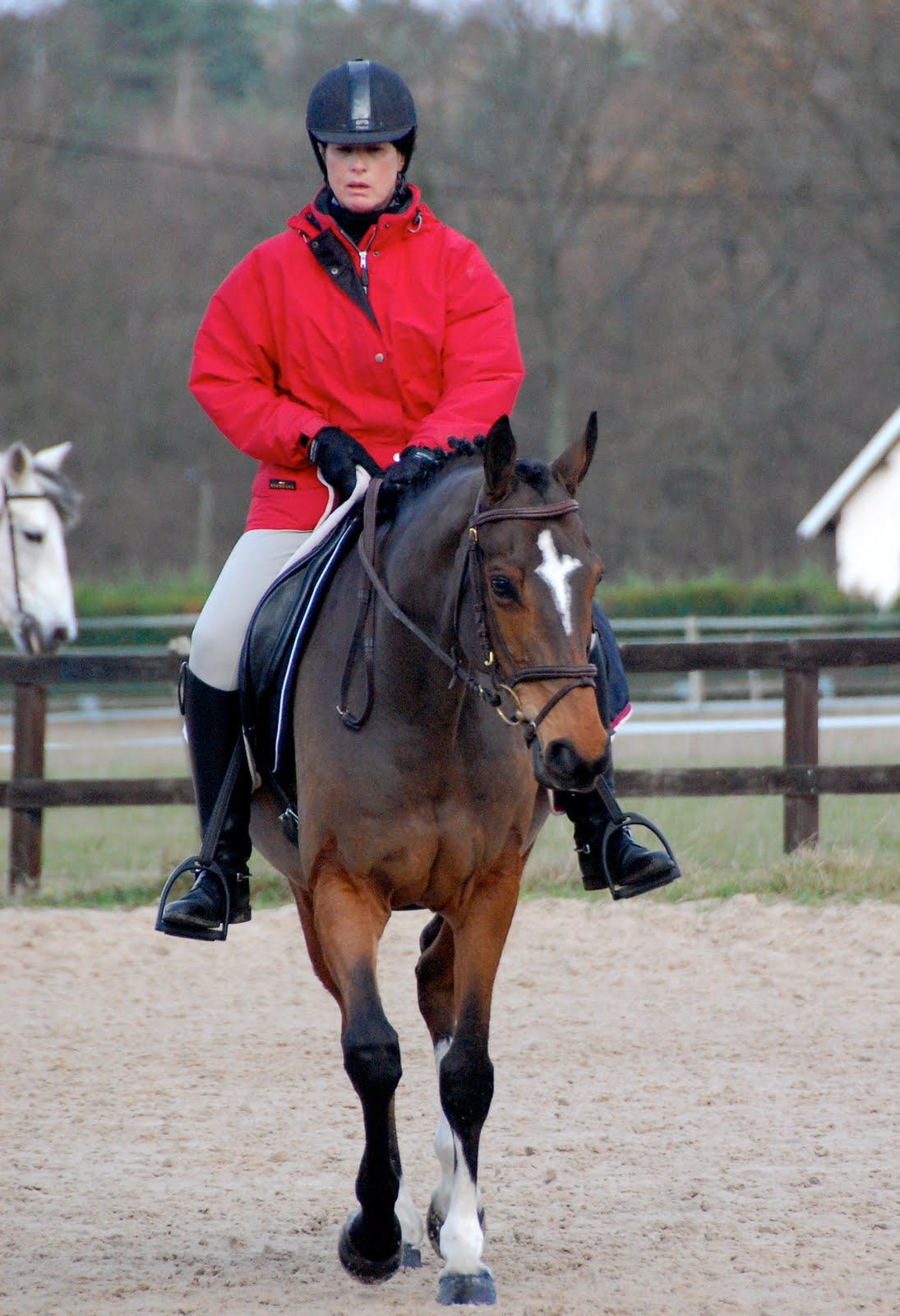 Photos: Concours de Dressage Milly la forêt