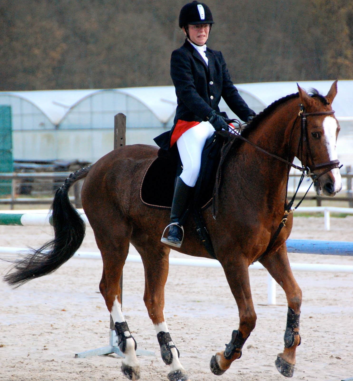 Photos: Concours de Dressage Milly la forêt