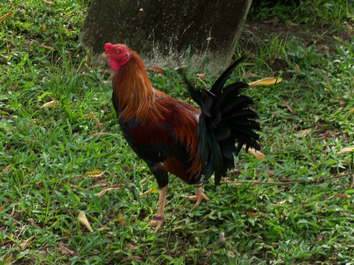 Springwater Farm: Photos