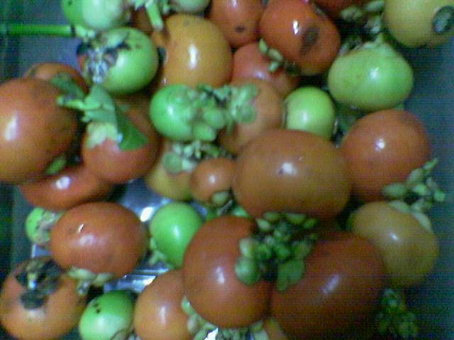 local fruit | *simple life*