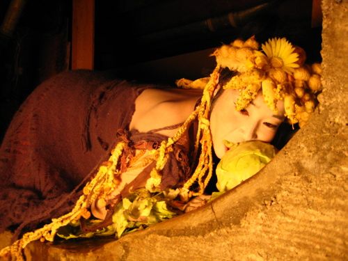 Silvering Path | Mandy Greer