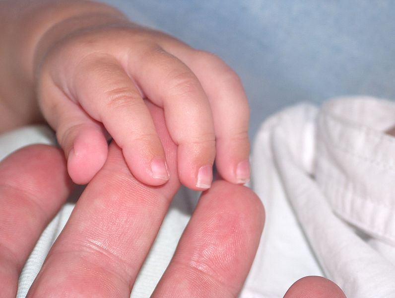 Actividad Sensacion y Percepcion