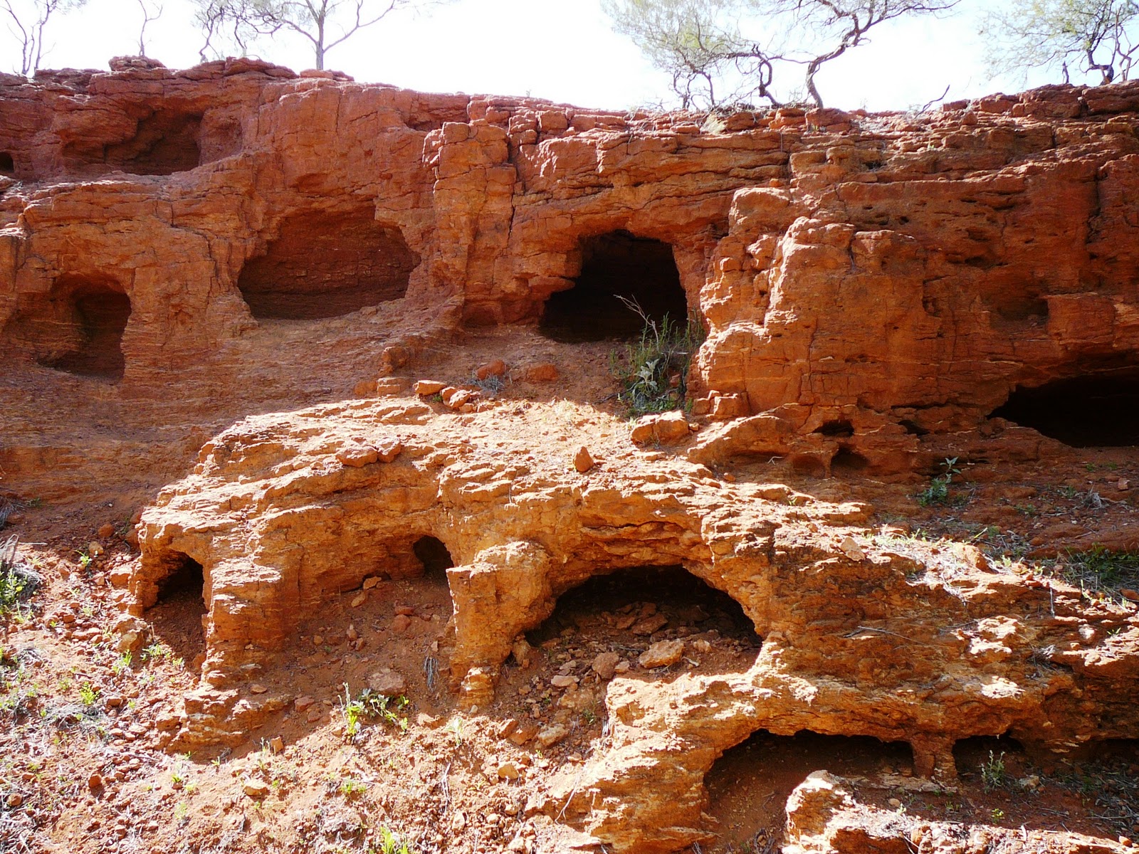 Terri's Zoo Stuff: Kennedy Range National Park 2008