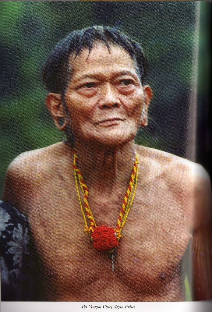 penantongtana: AGAN PELISI JELUAN FAMILY TREE- excerpt from James ...