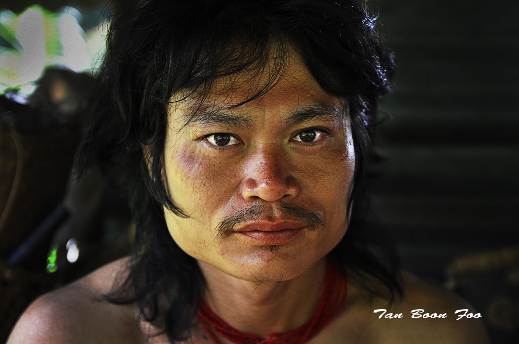 penantongtana: SAYAK MEGUT FAMILY TREE