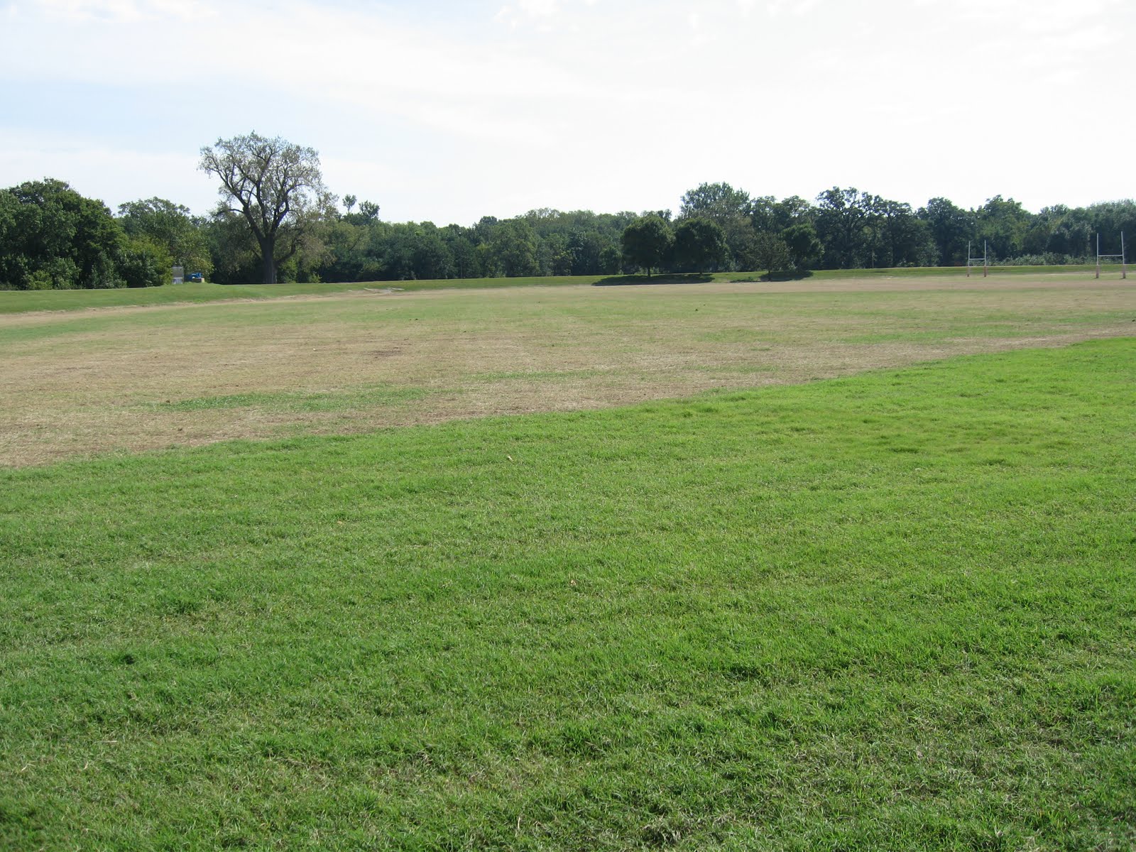 iaTURF: KENTUCKY BLUEGRASS RECOVERY FROM RHIZOMES AFTER FLOOD