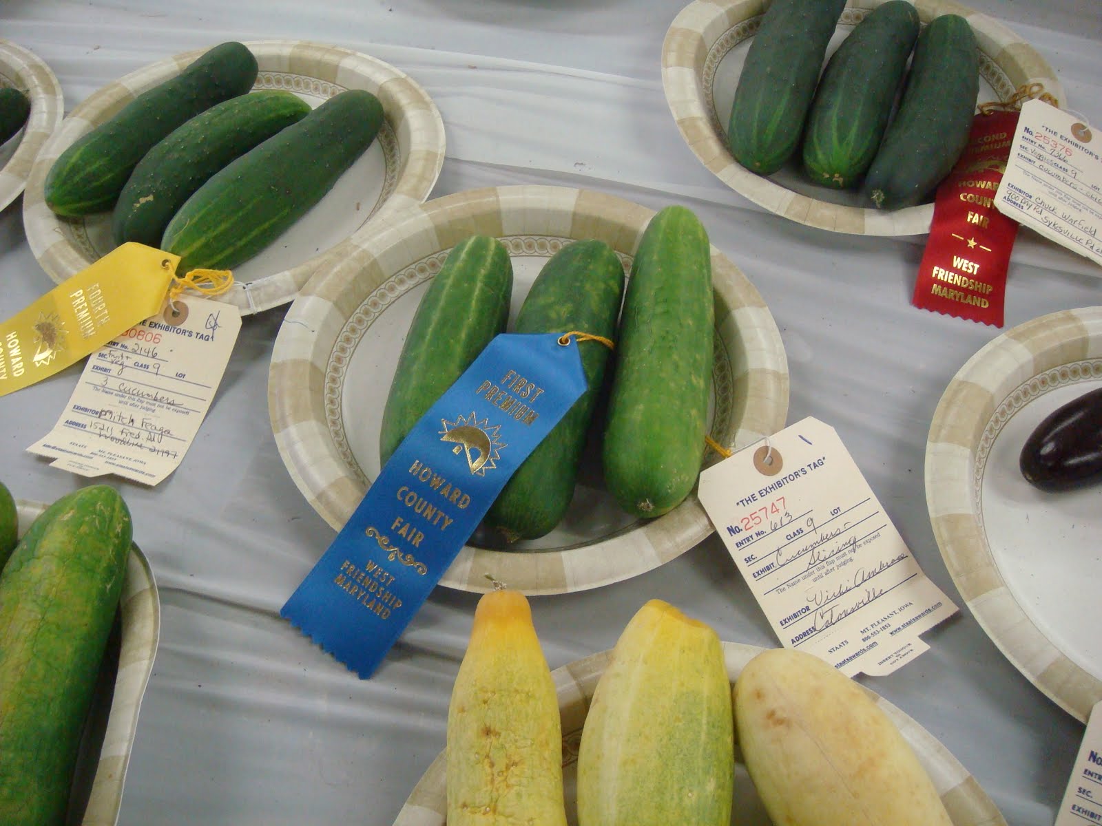 Tales Of Two Cities: HoCo Fair Number 65