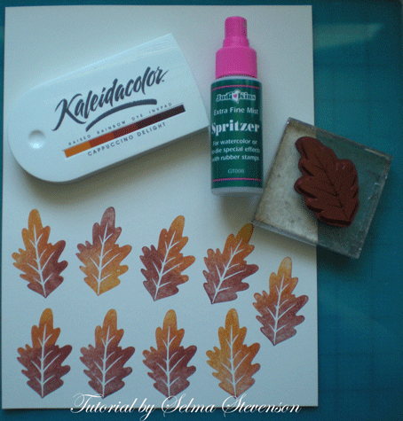 Selma's Stamping Corner and Floral Designs: Tutorial For Stamping ...