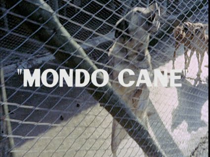 CiNEZiLLA - Falling asleep to movies since 1970: The Mondo Cane Collection