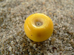 Taking Belize: Craboo Ice Cream