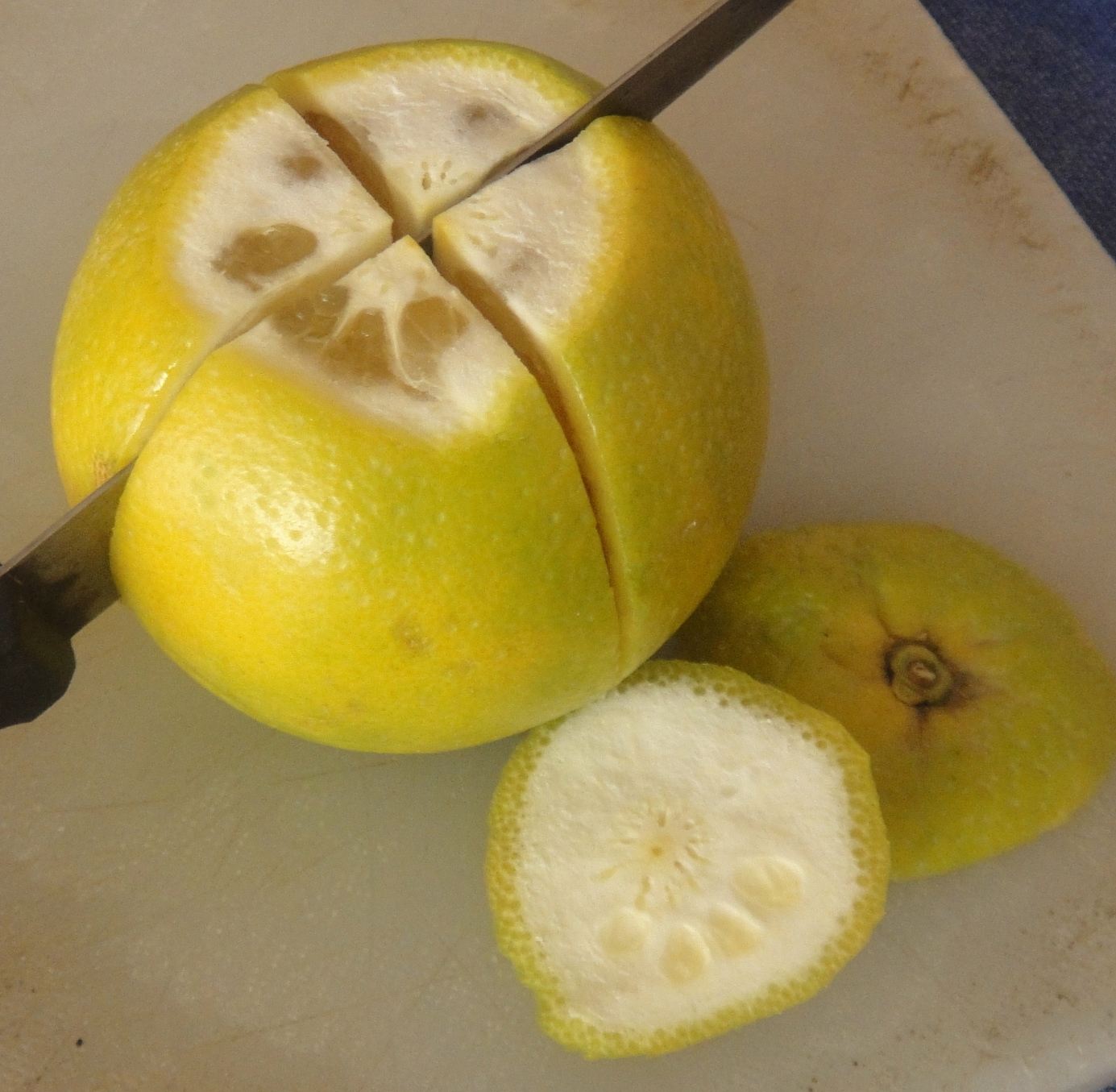 Jump to Fly: How to Peel Mosambi