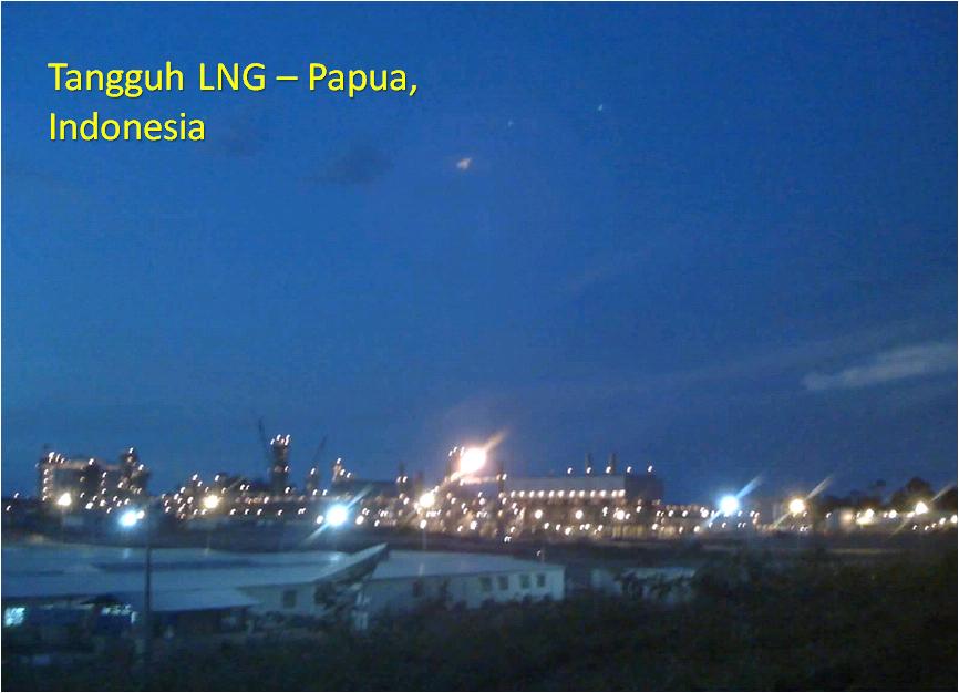 Hard Worker: High Light