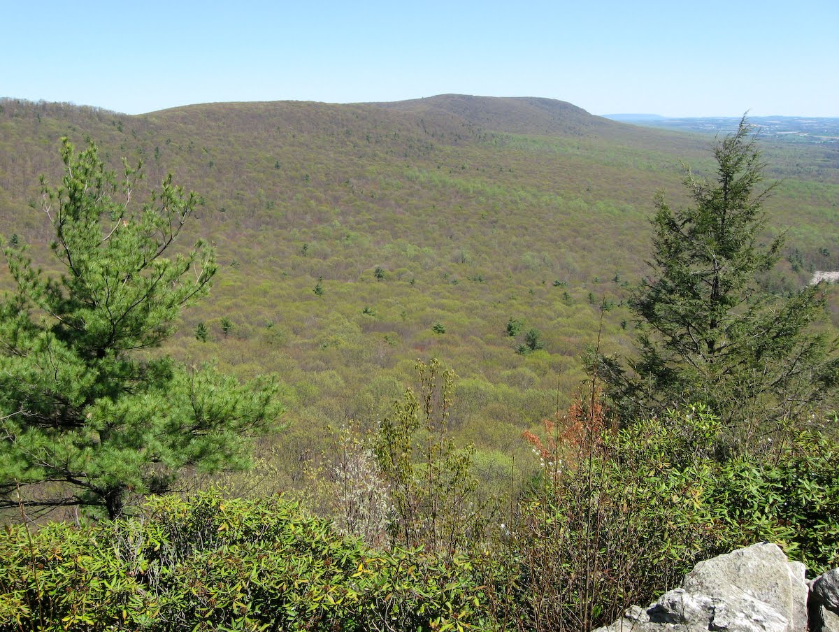 Let It Shine: Hawk Mountain, Kempton, Pennsylvania