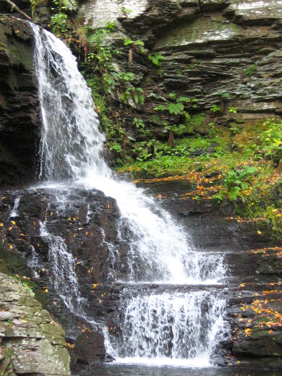 Let It Shine: Bushkill Falls Pennsylvania