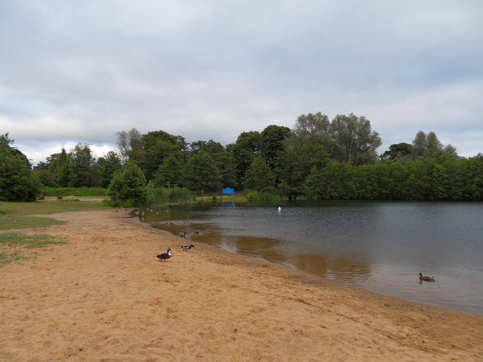My Adventure Blog: Whitlingham Country Park, Norwich, Norfolk