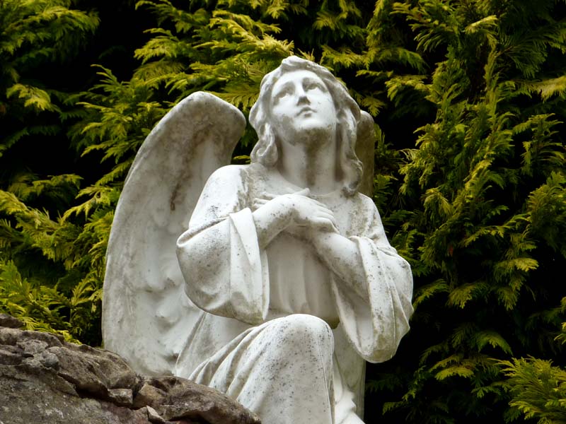 Alex and Bob`s Blue Sky Scotland: White Meldon and Carfin Grotto.