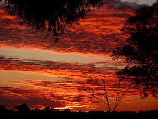 Alex and Bob`s Blue Sky Scotland: Whyalla.South Australia.