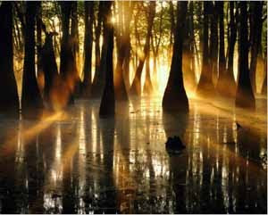 Color Photography: David Muench