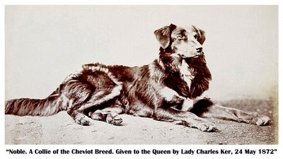 Did Queen Victoria Really Have A Dog Named Dash