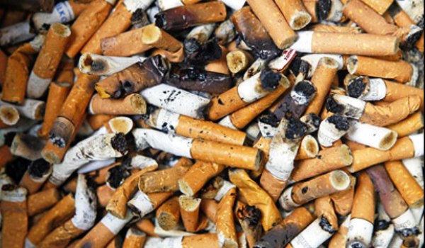 Bucurestiul vrea sa fie verde!: Mucurile de tigara, 35% din totalul ...