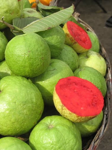 Aarti Badamikar: Red Guava
