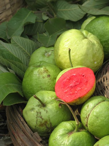 Aarti Badamikar: Red Guava