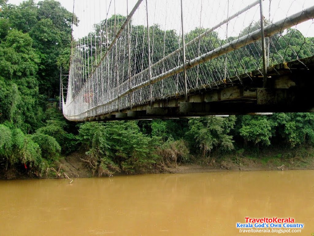 Day Out Kerala: Chaliyar River