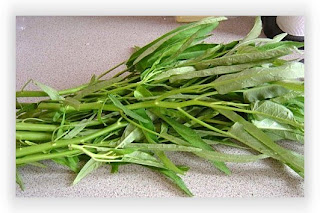 MoONaNnY: ประโยชน์ผักบุ้ง