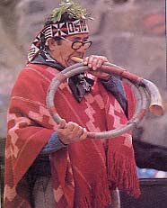 trabajo-historia: Instrumentos mapuches