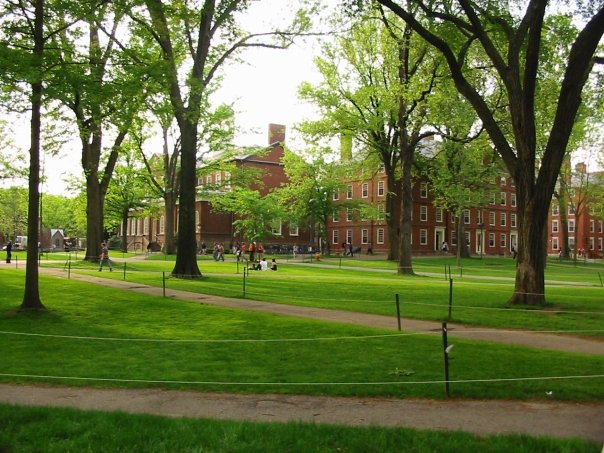 College Reviews: Harvard University - Pictures
