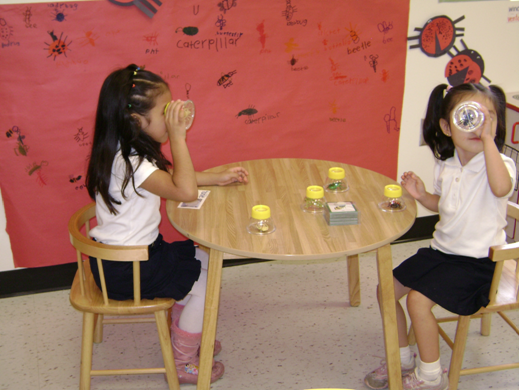 Mi Lugar Escolar: Dual Language/Doble Idioma