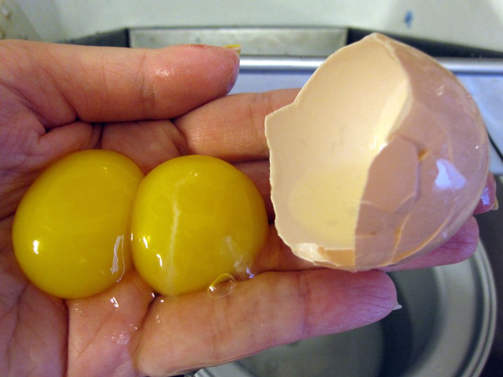 Happy Go Marni: Behold! Mystery Eggs! And These Are Nothing to Yolk ...