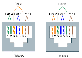 Telematica a full: Fabricación de un cable de conexión directa