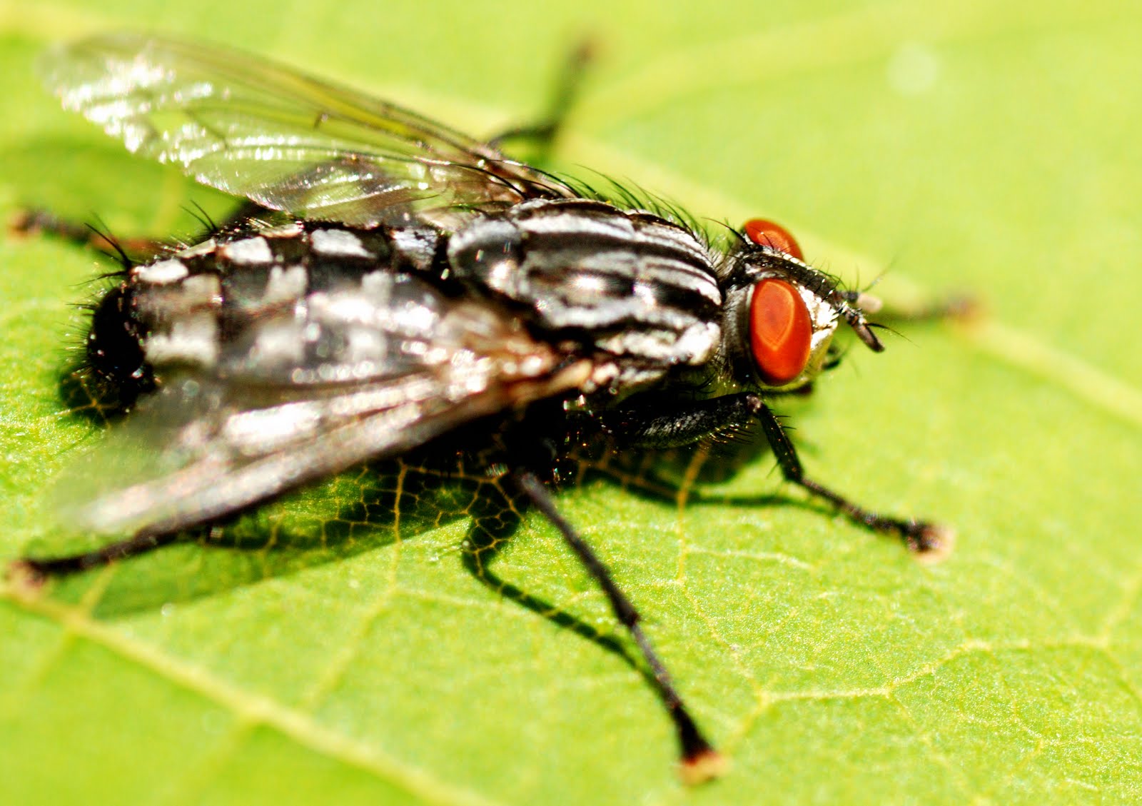 Pictureway: septembre 2010