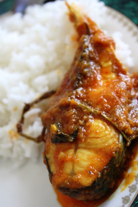 THE QUANTUM SINGULARITY: Tasik Bera, Day 1: Takde Ikan pun! :p