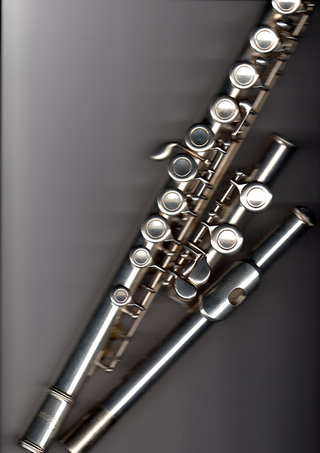 Familia Unidos": Flauta Transversal"