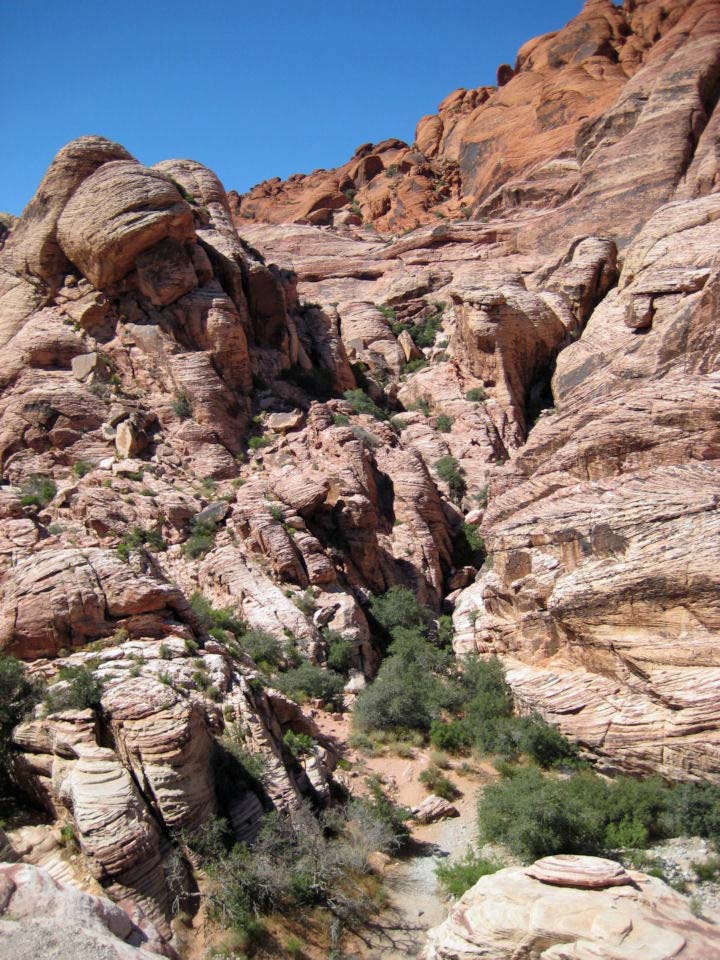Exploring Red Rock Canyon (USA): Travel Wonders