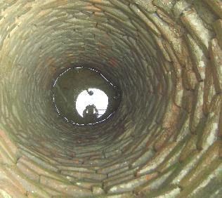 Lo studio dei Koan Zen: Il cavallo nel pozzo