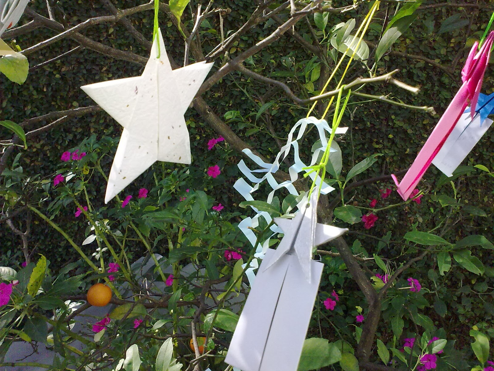 MARIA DOBRADURA: ORIGAMI TANABATA