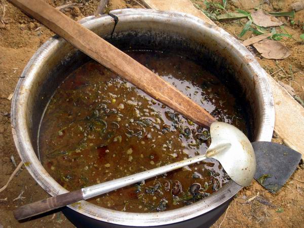 sepanjang jalan pulang: Buah perah, biji getah dan asam rong