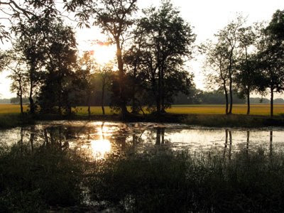 Colours of Bengal: Excavation at Moghalmari Buddhist Monastery, Paschim ...