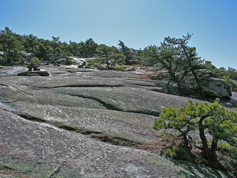 Hiking in Maine with Kelley: 4/3/10 Beachcroft Trail
